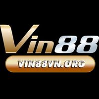 vin vnorg - Developer Profile on DoSelect