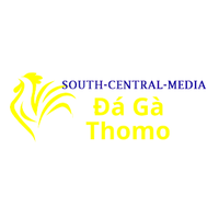 Da Ga Truc Tiep Thomo - Developer Profile on DoSelect