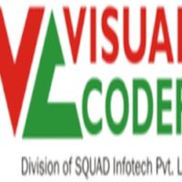 Visual Coder - Developer Profile on DoSelect
