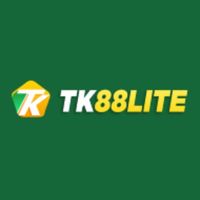 TK LITE - Developer Profile on DoSelect