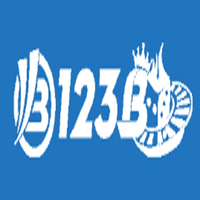 123B LTD - Developer Profile on DoSelect