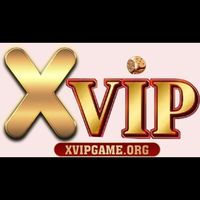 XVIP Thien duong game - Developer Profile on DoSelect