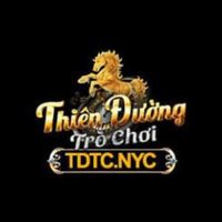 Thien Duong Tro Choi - Developer Profile on DoSelect