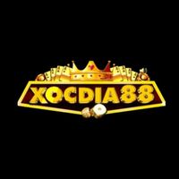 Xocdia Game - Developer Profile on DoSelect