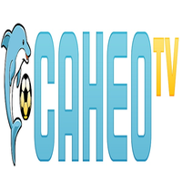 Caheo TV - Developer Profile on DoSelect
