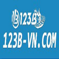 B vn - Developer Profile on DoSelect