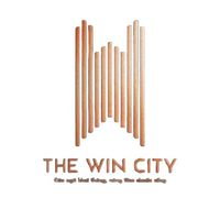 The Win City - Developer Profile on DoSelect