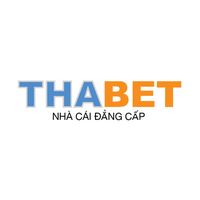 THABET CASINO - Developer Profile on DoSelect