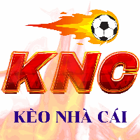 Keo Nha Cai Truc - Developer Profile on DoSelect