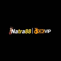 Natra Info - Developer Profile on DoSelect