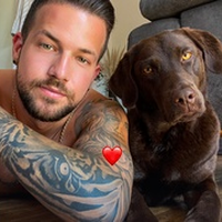 Dawid Harper - Developer Profile on DoSelect