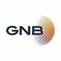 gnb global - Developer Profile on DoSelect