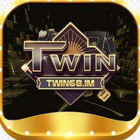 twin im - Developer Profile on DoSelect