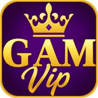 GameVip com - Developer Profile on DoSelect