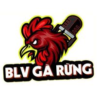 blvgarung com - Developer Profile on DoSelect